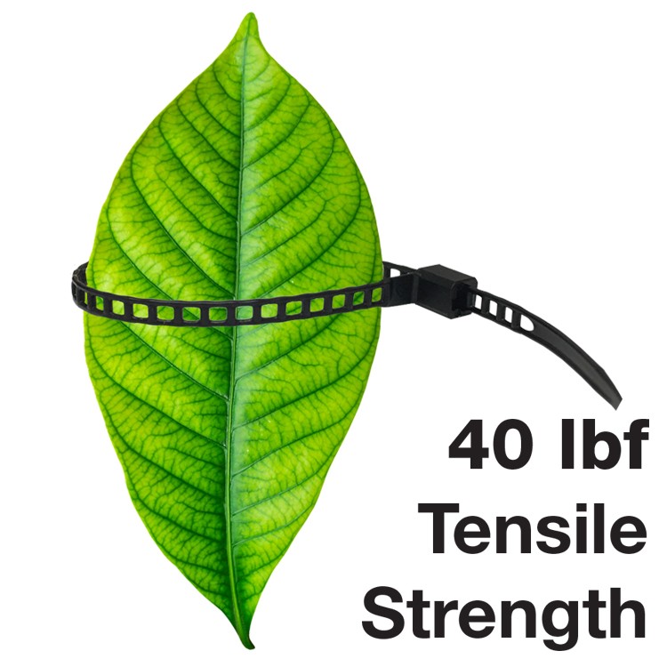 Avery Dennison Intermediate Cable Ties | Avery Dennison | Fastener ...
